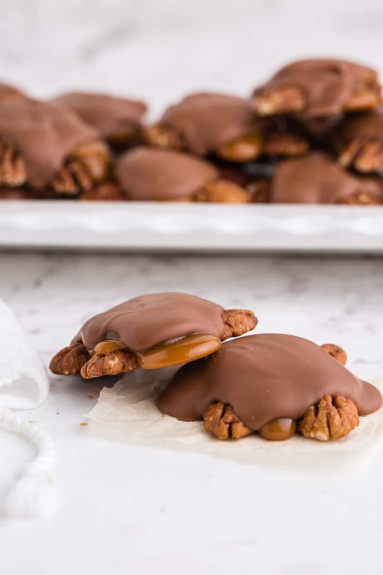 Chocolate Turtles - girl. Inspired.