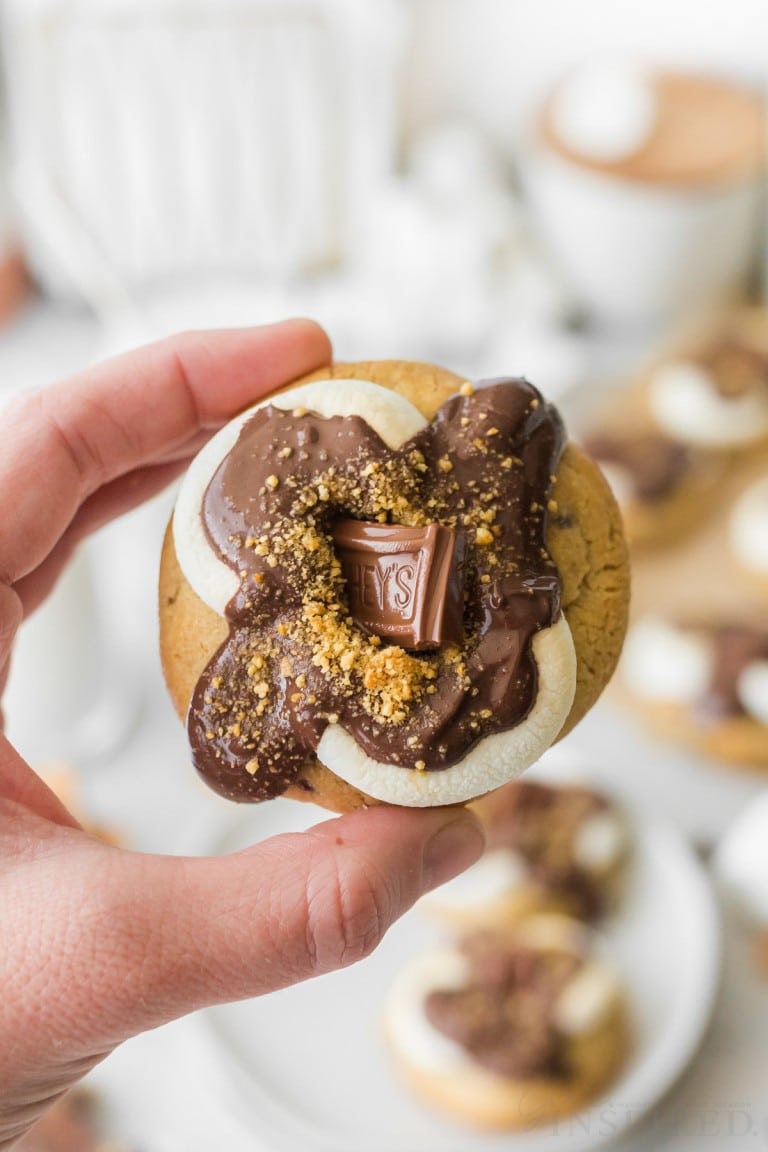 Smookies (Gooey Delicious S'mores Cookies) - girl. Inspired.
