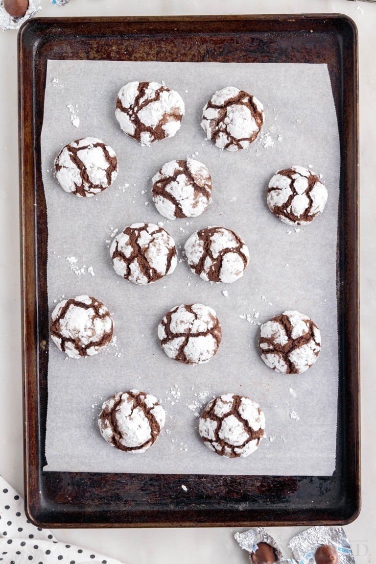 Fudgy Chocolate Crackle Cookies with a Melted Chocolate Center - girl ...