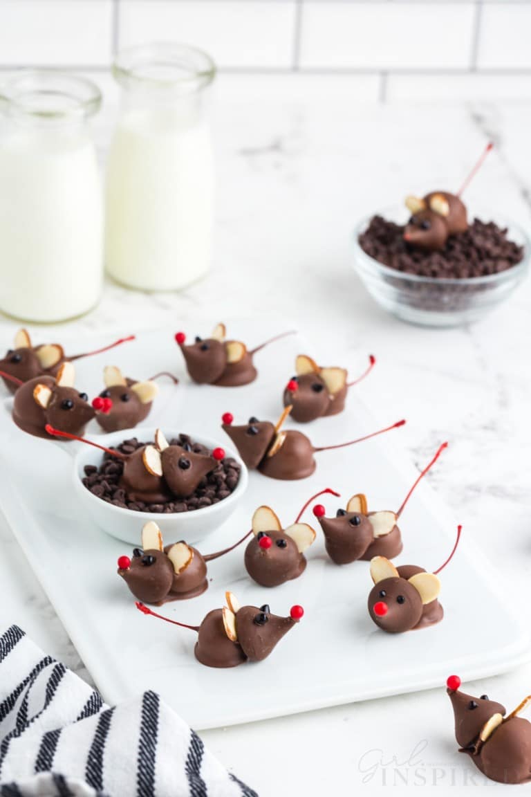 Chocolate Cherry Mice - girl. Inspired.