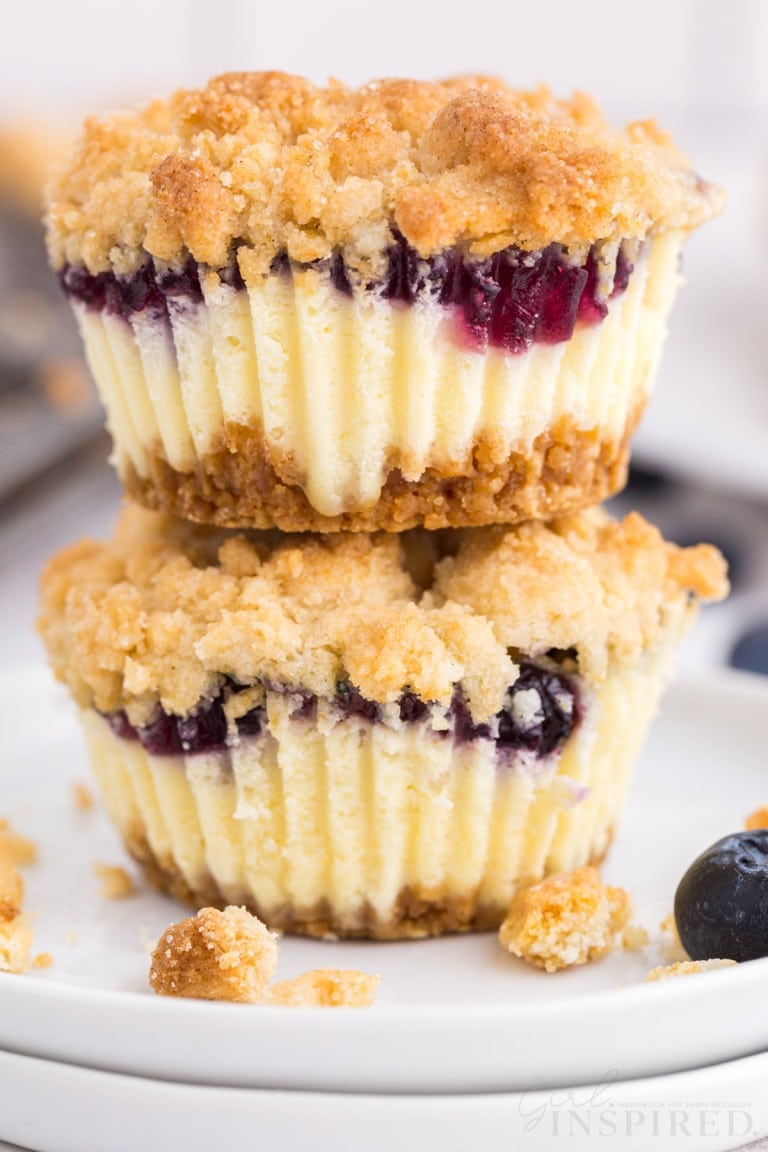 Mini Blueberry Cheesecake - girl. Inspired.