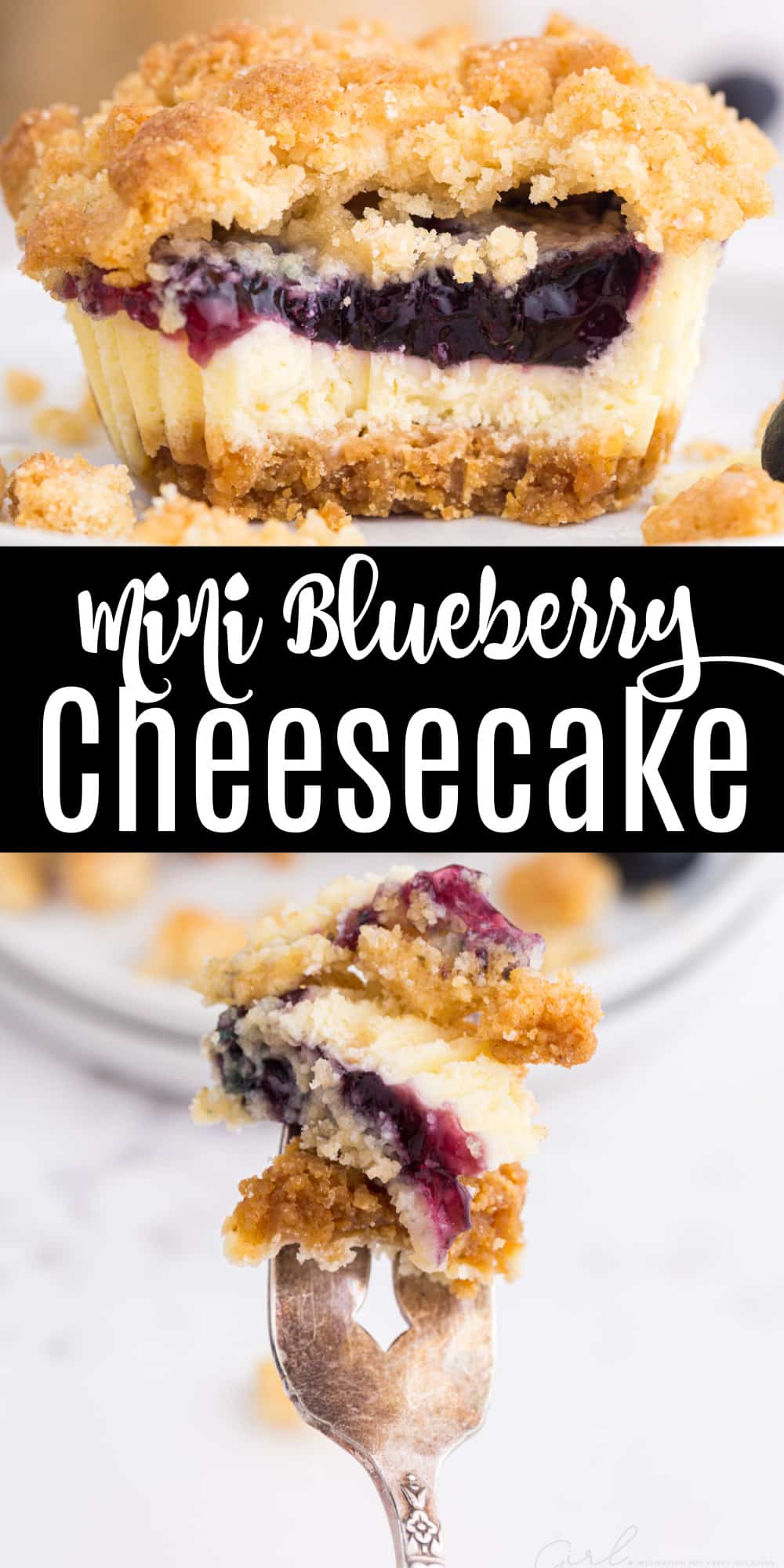 Mini Blueberry Cheesecake - girl. Inspired.