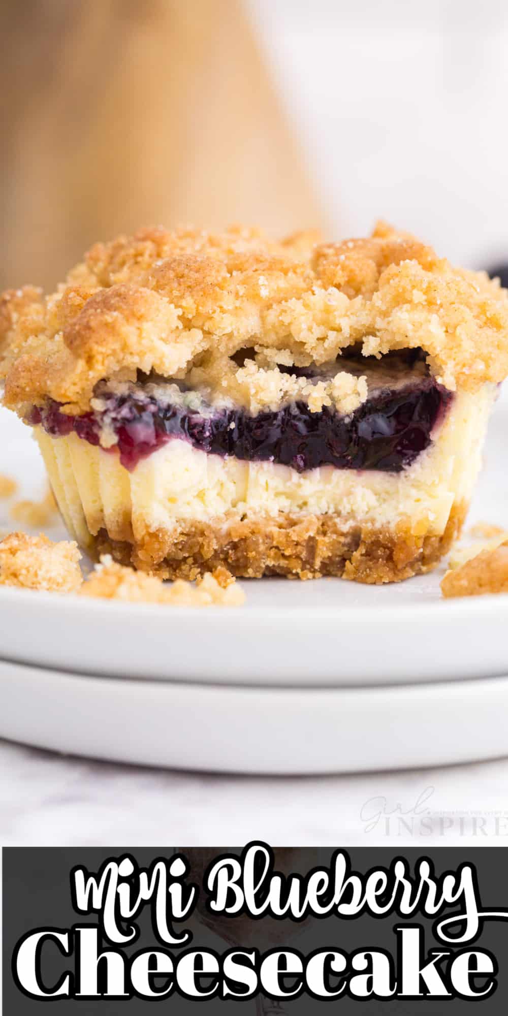 Mini Blueberry Cheesecake - girl. Inspired.