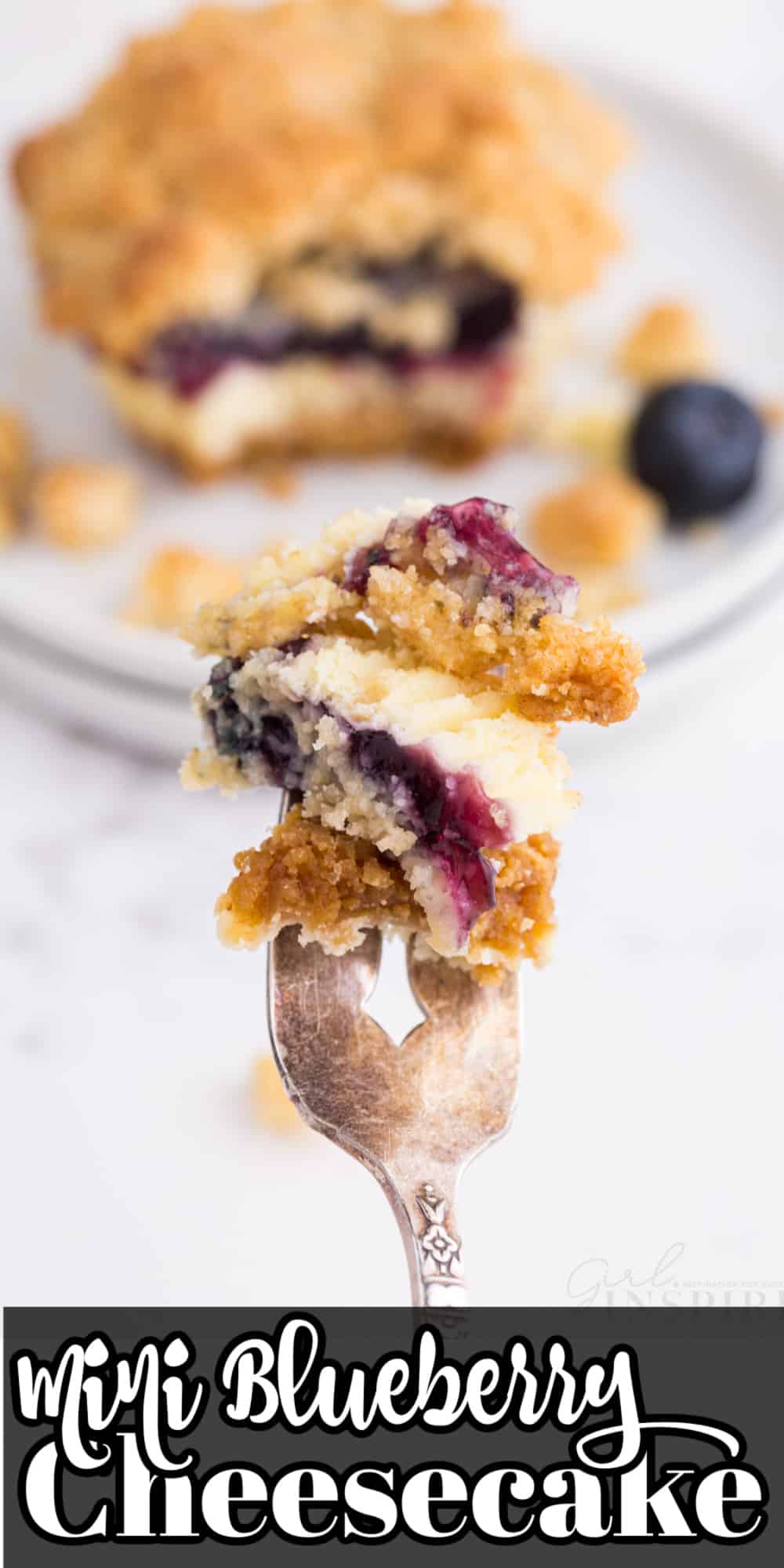 Mini Blueberry Cheesecake - girl. Inspired.