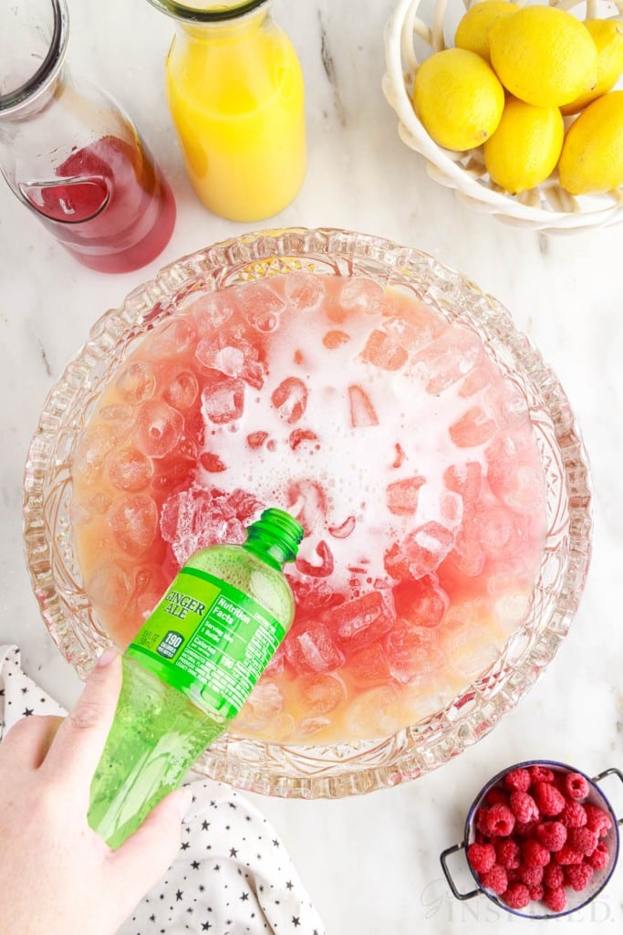 Show-Stopper Party Punch Recipe - girl. Inspired.