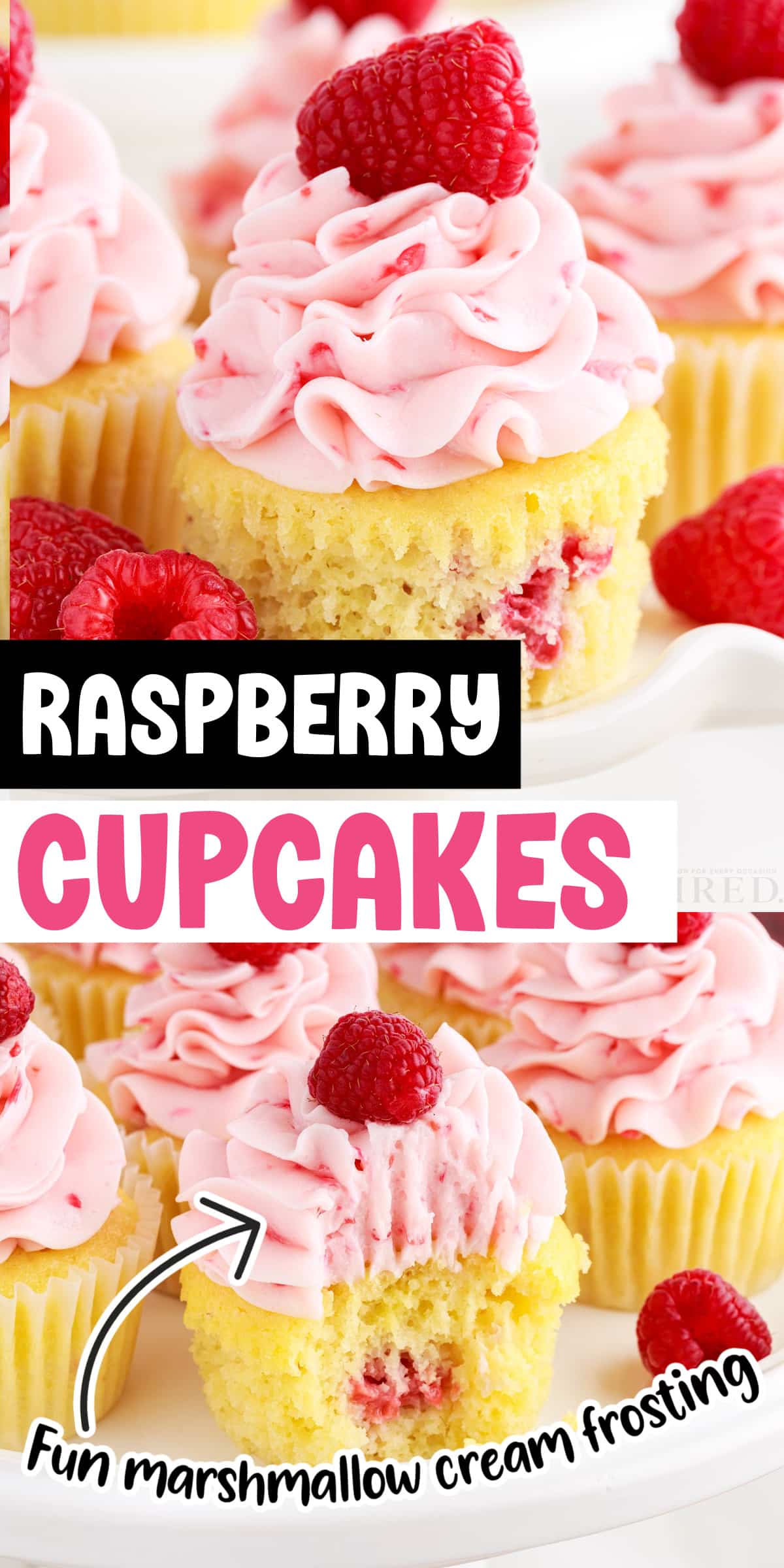 Raspberry Cupcakes - girl. Inspired.