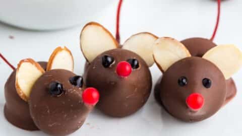 Hershey Kiss Mice Recipe Chocolate Kisses Mice — A Teaspoon