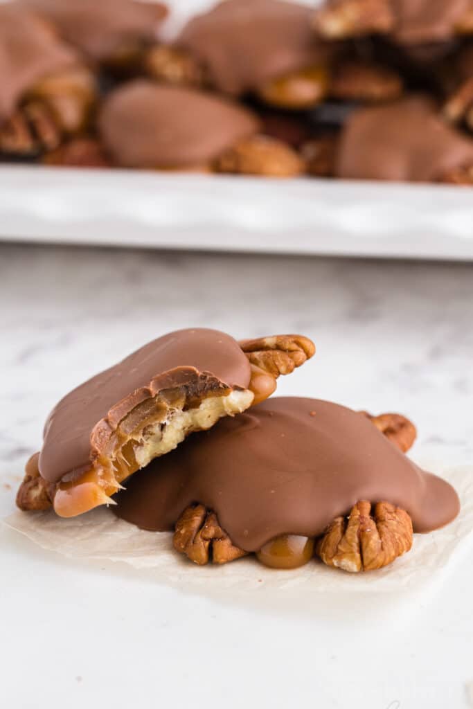 Chocolate Turtles - girl. Inspired.
